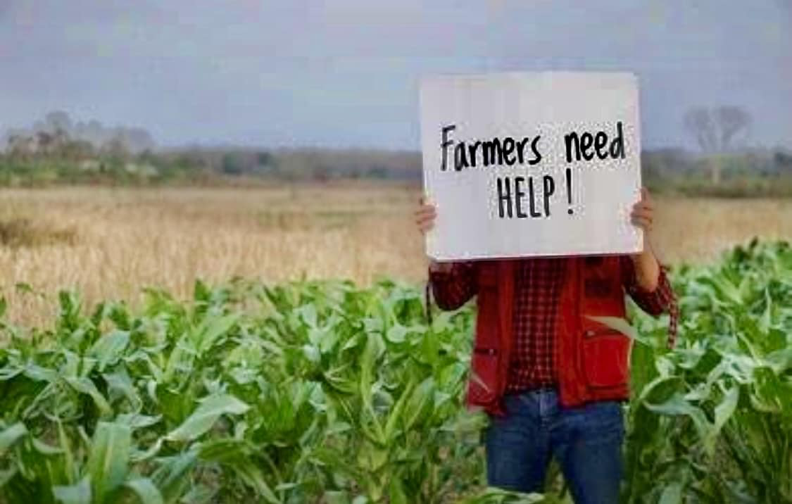 Israël: Farmers need HELP! Venez aider! - Tribune Juive
