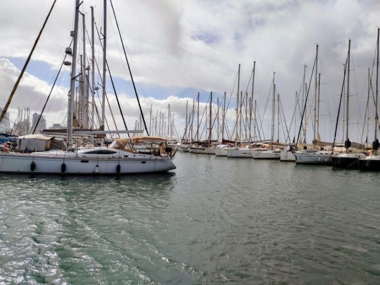Le Goush Dan : des marécages aux gratte-ciel. Par Joel Hanhart ...